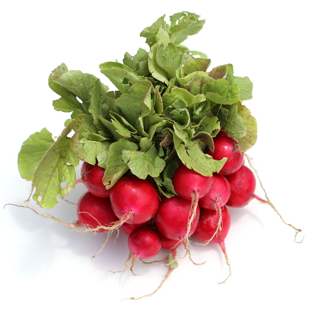 Radish Red (Bunch) | Fenwick's Fruit Emporium