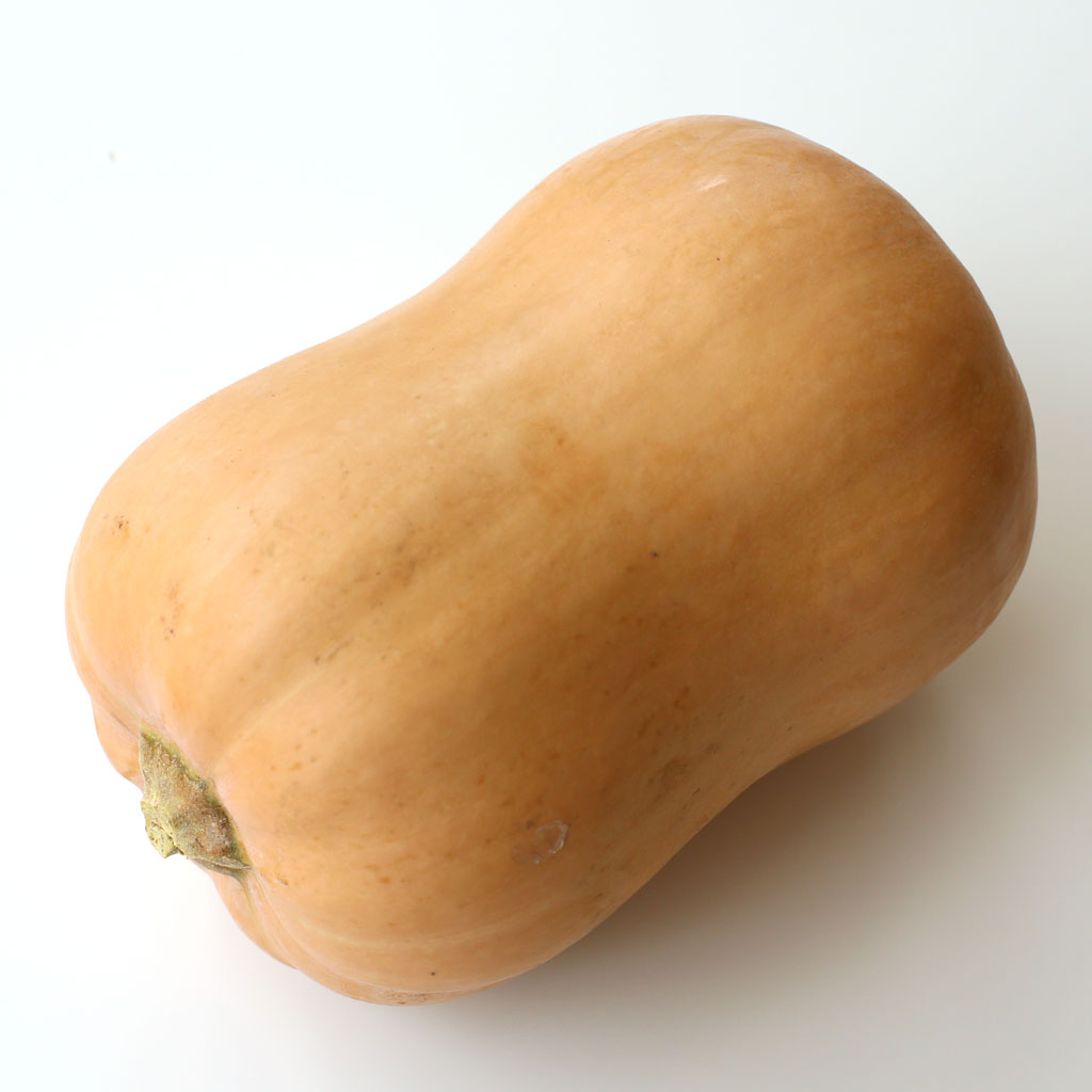 Pumpkin Butternut | Fenwick's Fruit Emporium
