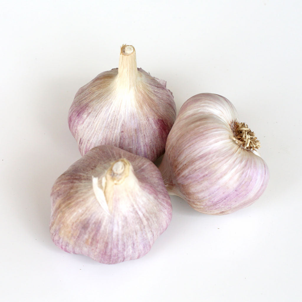 Garlic Peru (Knob) | Fenwick's Fruit Emporium