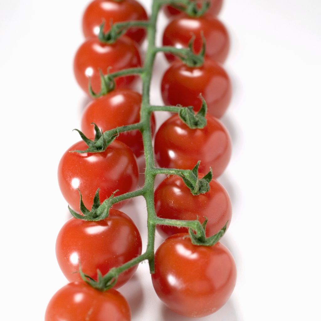 Tomatoes Cherry Truss (min 250g) | Fenwick's Fruit Emporium